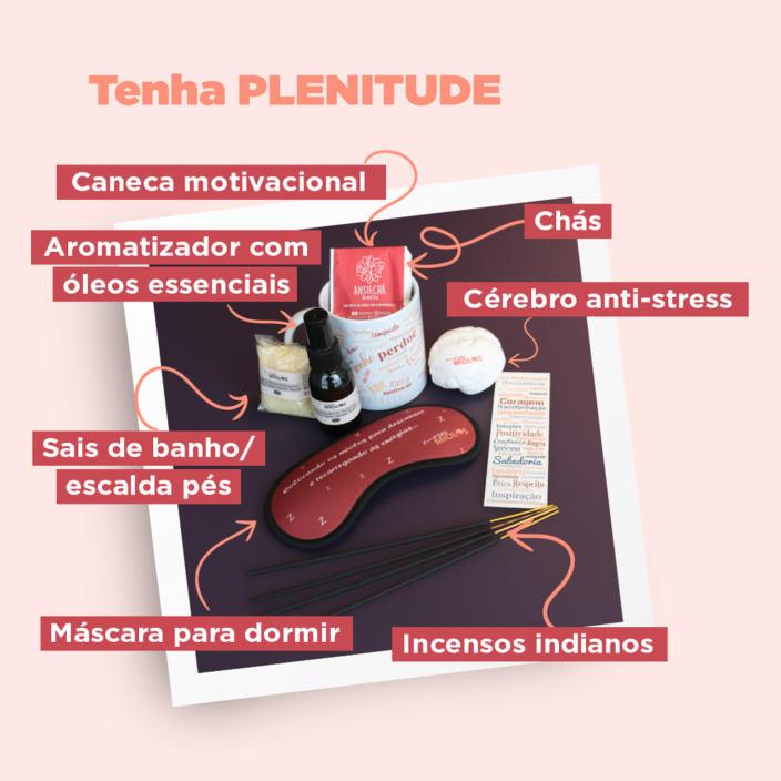 Presente criativo: Kit anti-stress - Meus Miolos