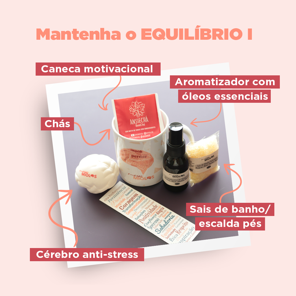 Presente criativo: Kit anti-stress - Meus Miolos