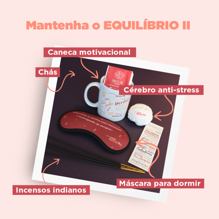 Presente criativo: Kit anti-stress - Meus Miolos
