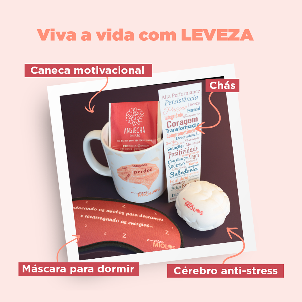 Presente criativo: Kit anti-stress - Meus Miolos
